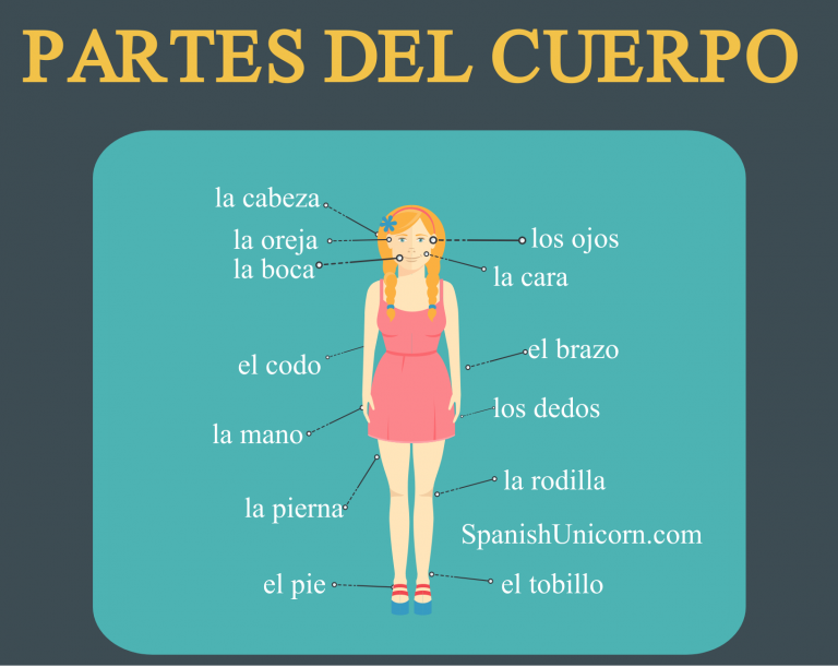 La descripción física en español con ejercicios