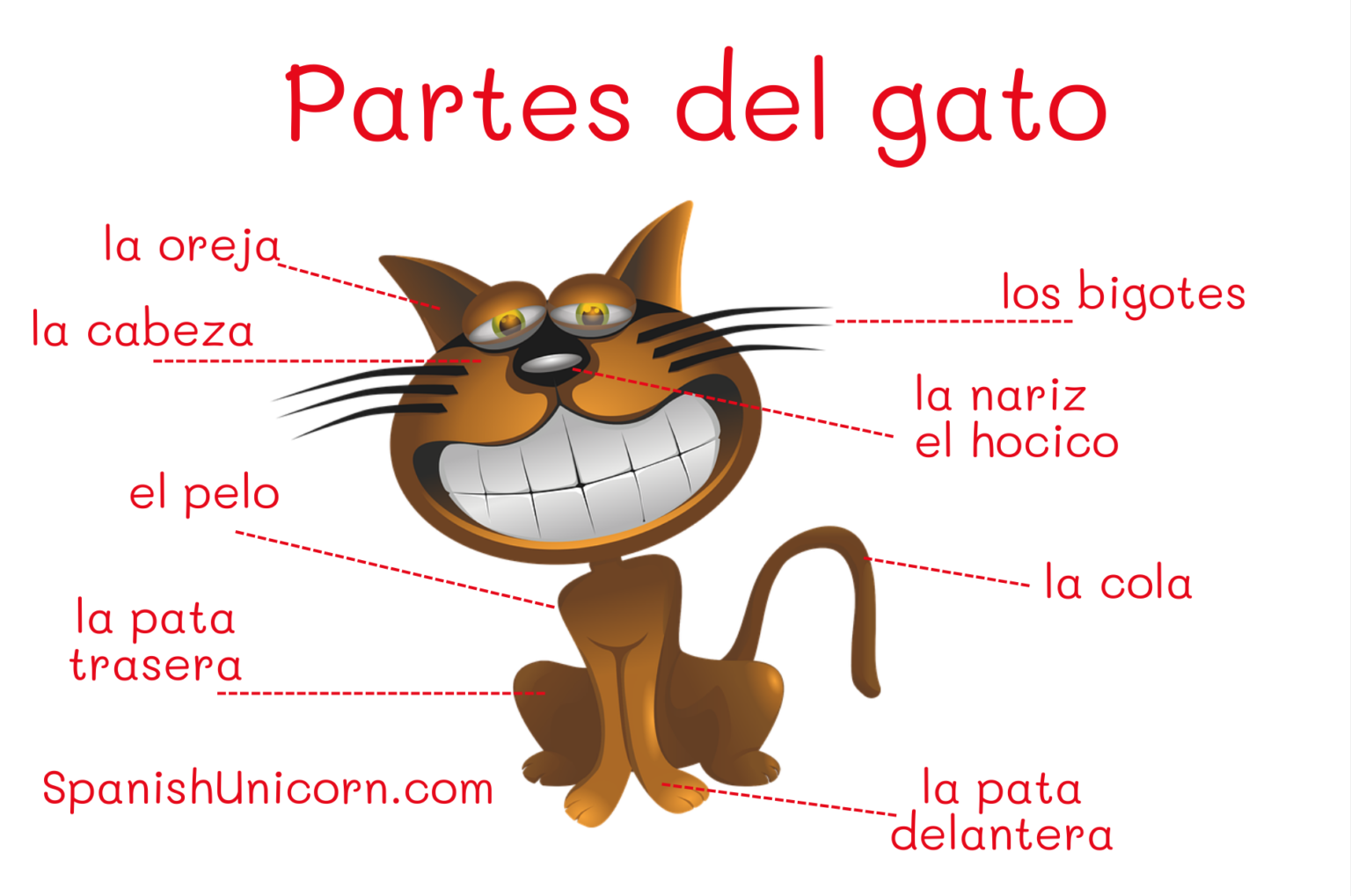 Gatos egipcios - actividades con audio