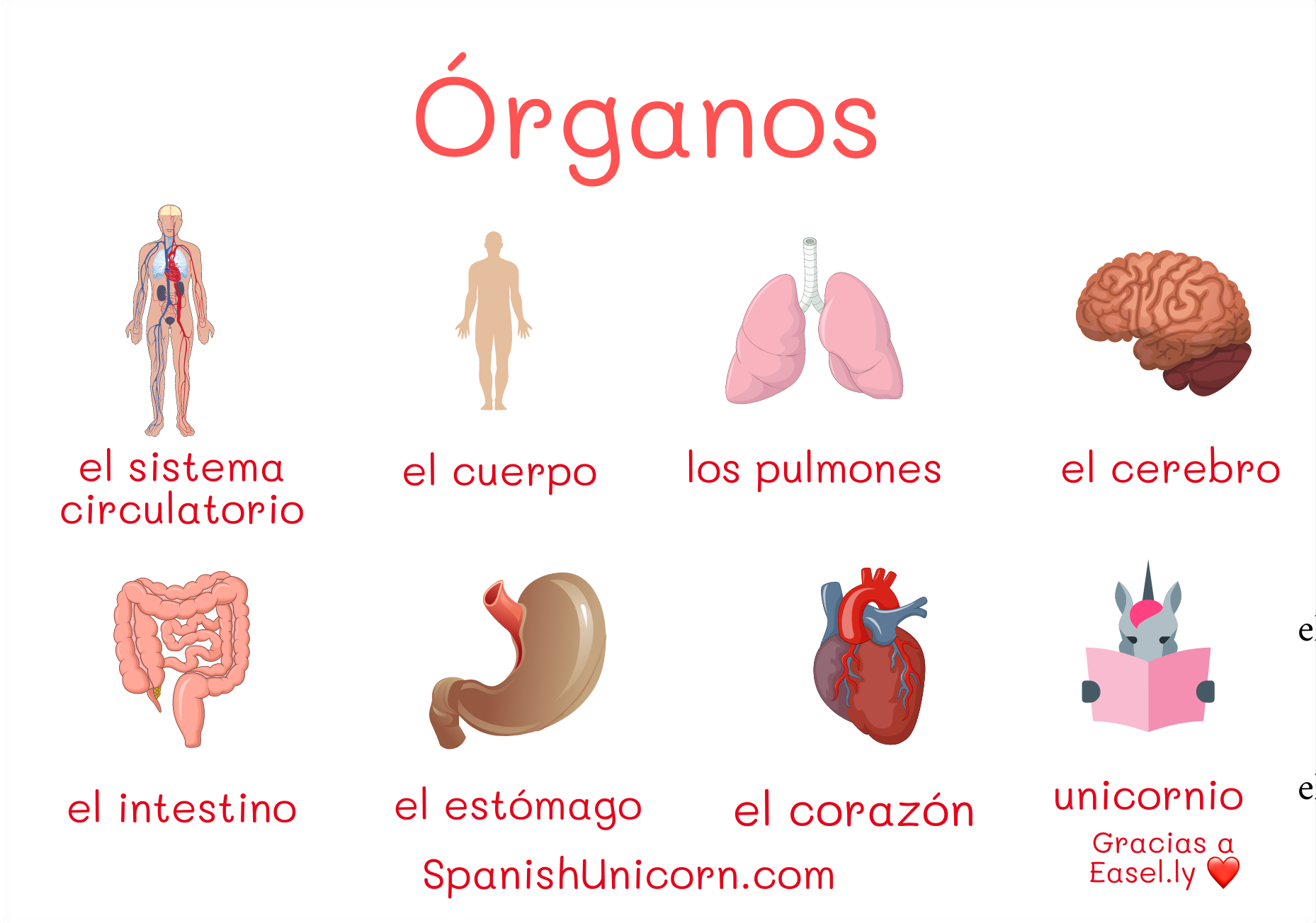 En el hospital - diálogo en español (402.) - Spanish Unicorn