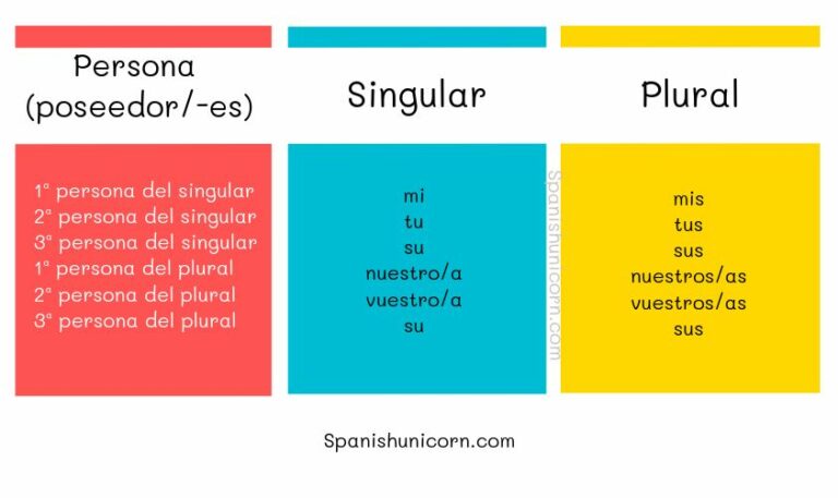 Guía Completa Sobre Los Pronombres Posesivos Y Su Uso En Español – RYWXSV